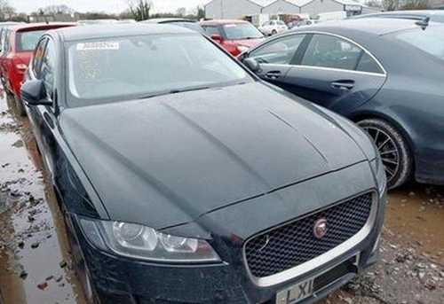 Разбор Jaguar XF 2017г 2.0D