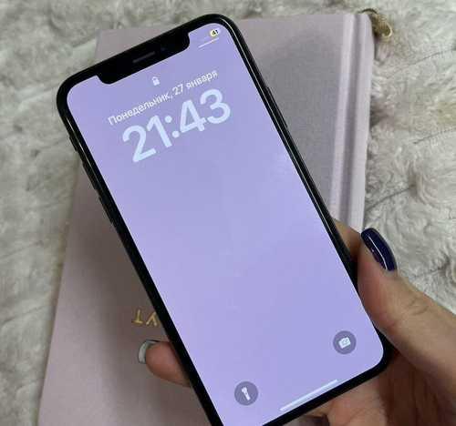 iPhone X, 256 ГБ