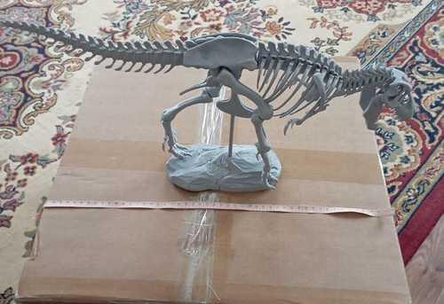 Скелет динозавра (тираннозавр)