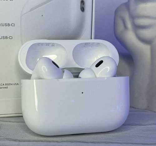 AirPods Pro 2 (гарантия, доставка, чехол)