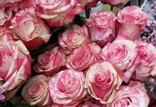 Роза цветы букет цветочный магазин Некрасовка