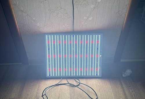 LED лапма Big Cock Design Firefly 240w