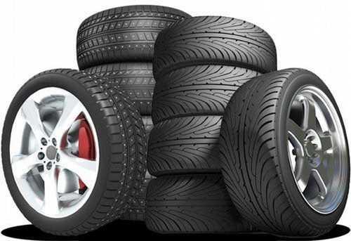 Bridgestone Blizzak DM-V2 215/65 R16 98S