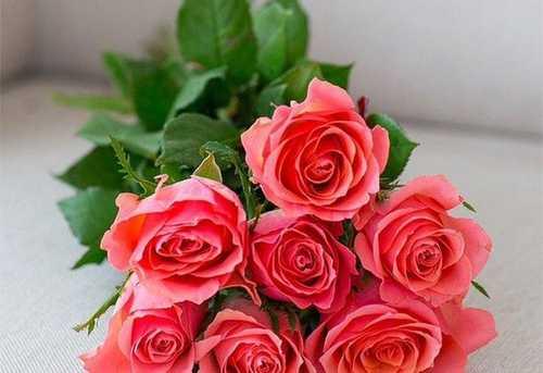 Букет из 7 Роз, цветы с доставкой