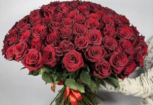 101 красная роза 60 см Эксплорер Эквадор