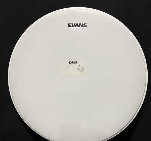 Evans G2 coated 22" BD22G2CW