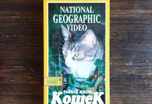 Тайная жизнь кошек - National Geographic Video