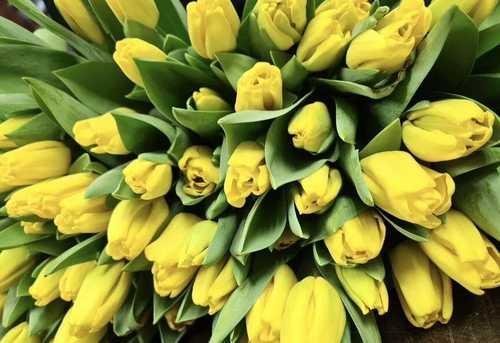 Свежие тюльпаны к 8 марта крупные Жёлтые