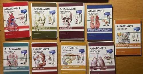 Карточки по анатомии Сапин, анатомия (набор)