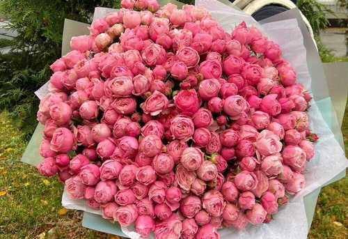 Розы. Супер букет из 51 пион розы кустовои розы