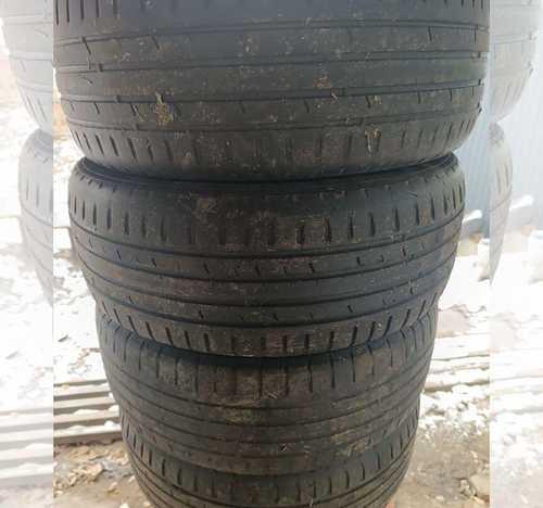 Nokian Tyres Hakka Blue 2 205/55 R16