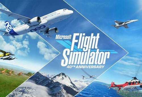 Microsoft Flight Simulator 2020 steam подарком