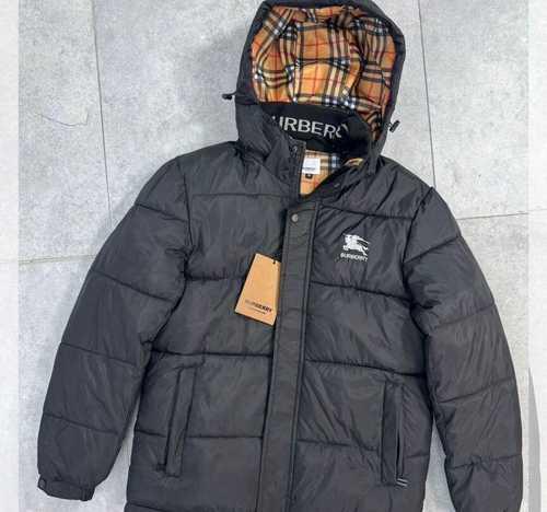 Зимние куртки Burberry