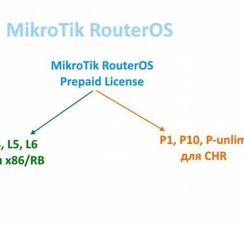 Лицензия MikroTik CHR RouterOS L4/L5/L6, P1/P10/PU