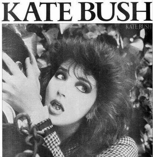 Книга Альбом с концерта Кейт Буш / Kate Bush