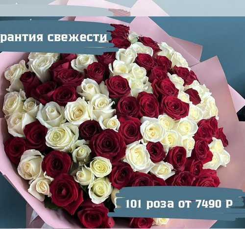 Розы 31 51 101 роза цветы и букеты