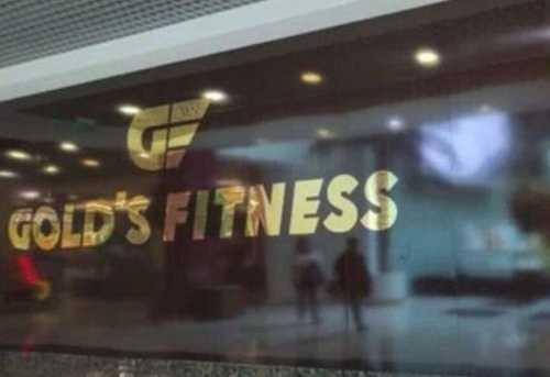 Абонемент Gold Fitness индиго