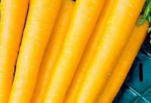 Морковь жёлтый мармелад Ранняя сладкая семена40 шт
