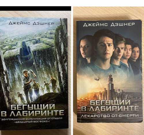 Книги бегущий в лаберинте