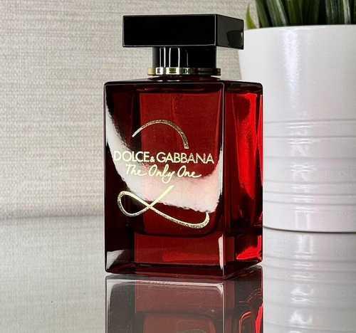 Dolce gabbana the only one 2