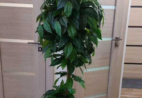 Манго дерево Премиум, искусственное растение
