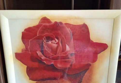 Картина маслом красная роза