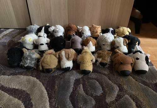 The dog collection