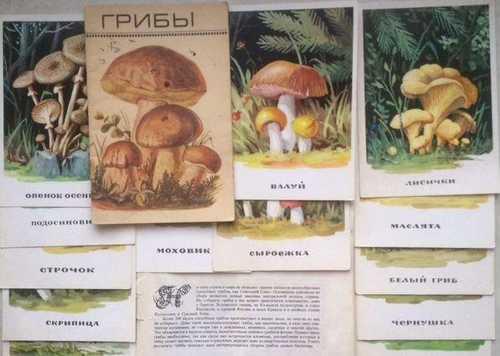 Грибы брошюры открытки СССР