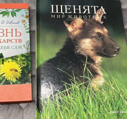 Книги все по одной цене