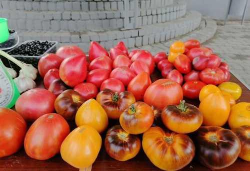 Коллекционные семена томатов