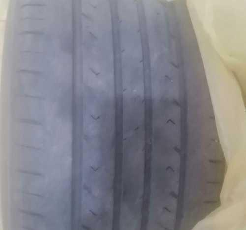 Rapid P309 205/55 R16