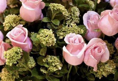 Розы Букеты Цветы 101,51 с доставкой