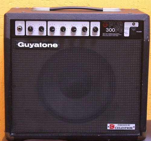 Guyatone Flip FJ-300 Amp Combo