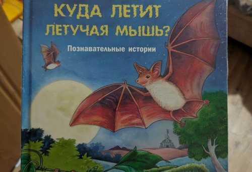 Книга куда летит летучая мышь