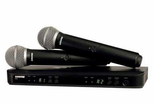 Shure BLX288E/PG58-M17 вокальная система