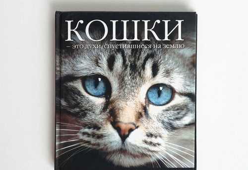 Красочная книга про кошек