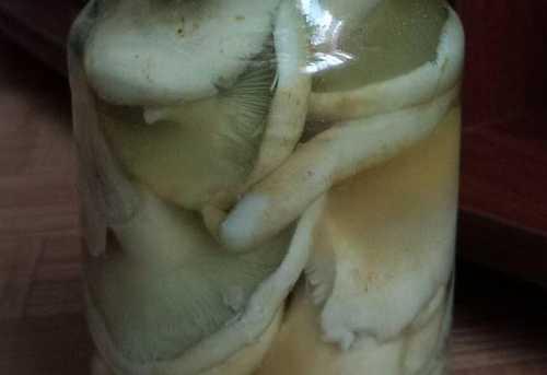 Белые грибы соленые