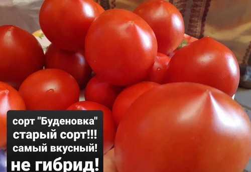 Семена вкусных домашних помидор старых сортов СССР
