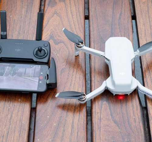 Квадрокоптер DJI mavic mini i/1