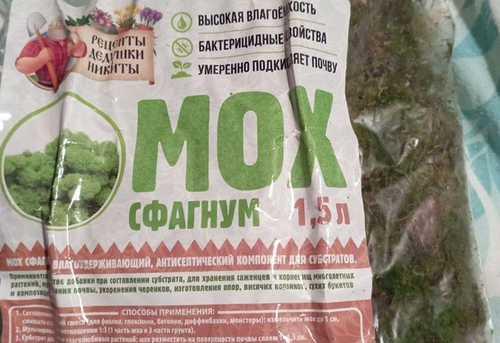 Мох сфагнум живой