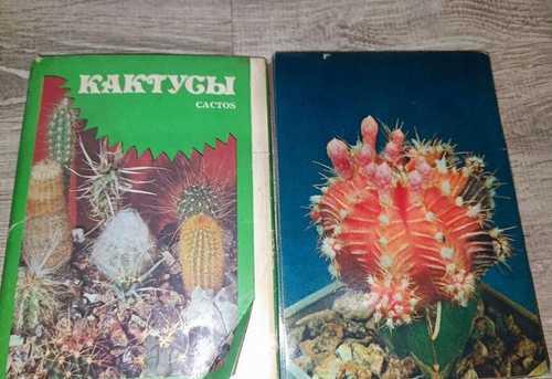 Набор открыток СССР кактусы