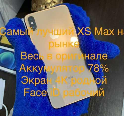 iPhone Xs Max, 256 ГБ