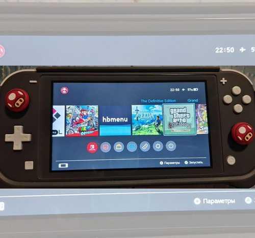 Nintendo switch lite прошитая