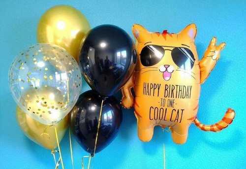 Воздушные шары Крутой кот с Днём Рождения