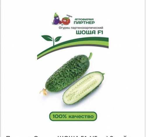 Семена огурцов