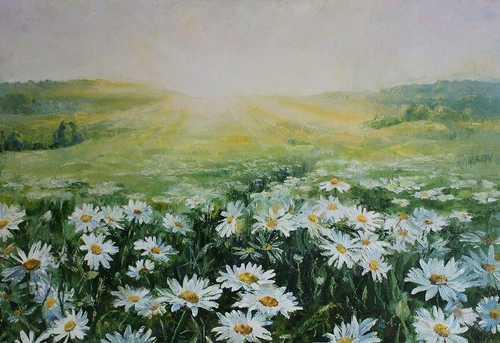 Картина маслом на холсте "Ромашковое поле"