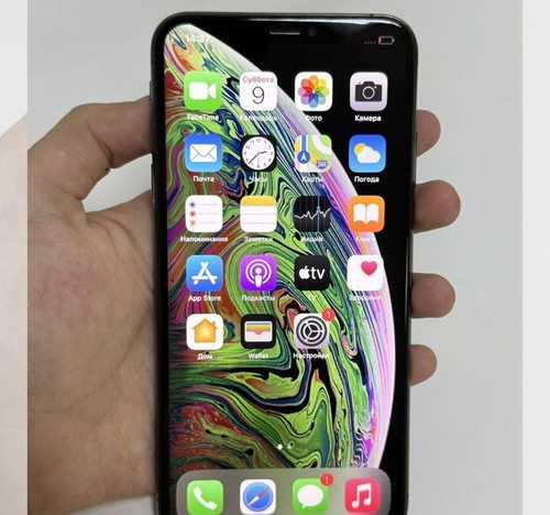 iPhone Xs Max, 256 ГБ