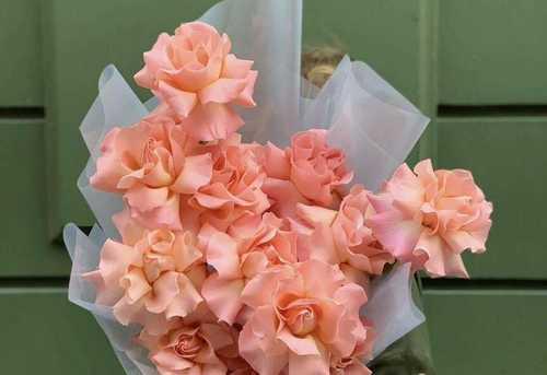 Цветы Французская роза букет доставка