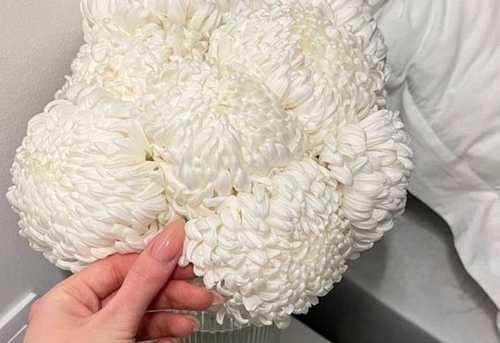 Белое облачко из хризантемы бигуди