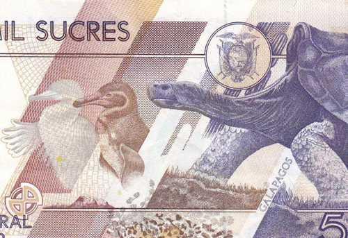 Банкноты Эквадор 1973-1999 год